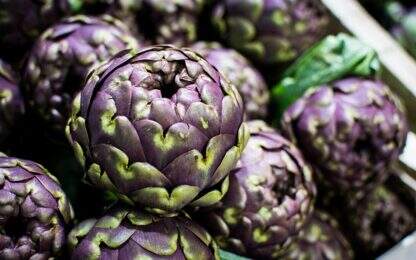 Conheça mais sobre Crisina, seus benefícios e indicações