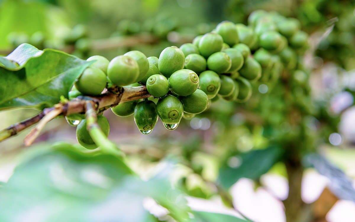 Conheça mais sobre Move, seus benefícios e indicações