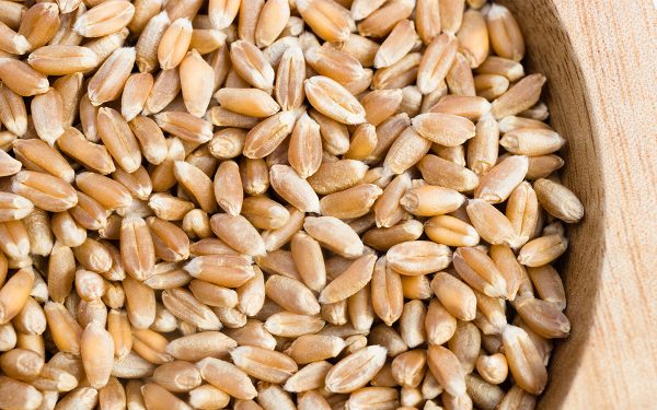 Conheça mais sobre Pantotenato de Cálcio, seus benefícios e indicações